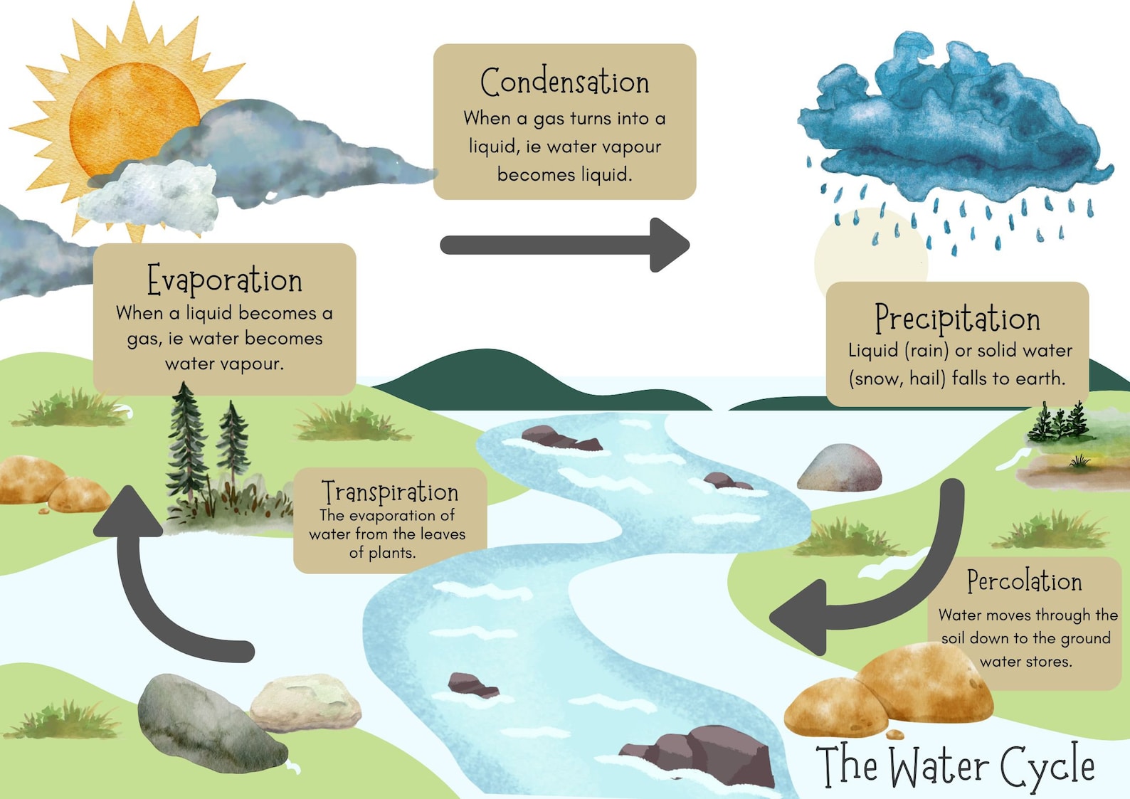 The Water Cycle Posters Freebie Over at Our Website - Etsy