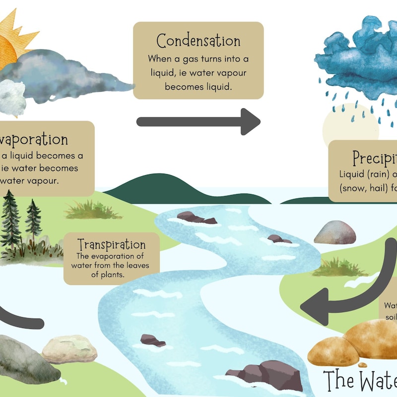 Water Cycle Project - Etsy