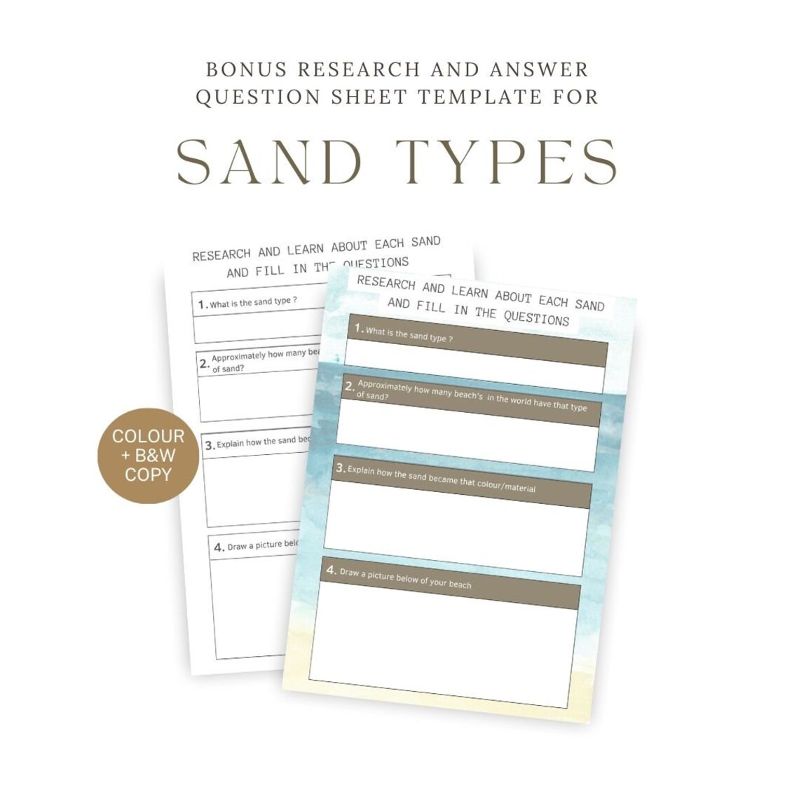 Beach Sand Types Poster and Flash Card Pack - Morning Basket - Etsy