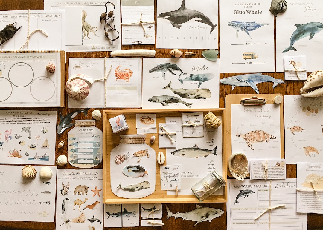 SEA Animal Mega Bundle - MULTI AGE Pack - Etsy