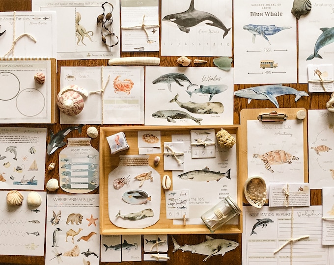 SEA Animal Mega Bundle - MULTI AGE Pack - Etsy