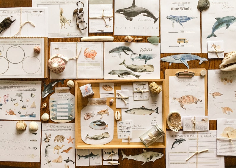 SEA Animal Mega Bundle MULTI AGE Pack - Etsy