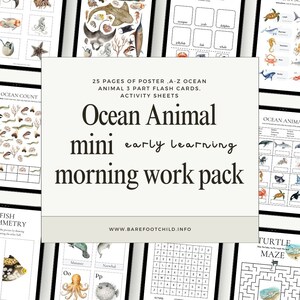 OCEAN ANIMAL Early Learning Morning Work Pack - Etsy