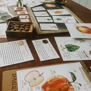 Apple Unit Study - Charlotte Mason - Nature Study - Etsy