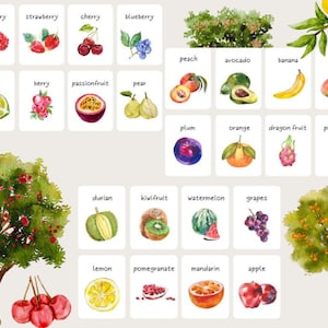 24x Watercolour FRUIT Flashcards-mini | VOCABULARY PRESCHOOL - Etsy
