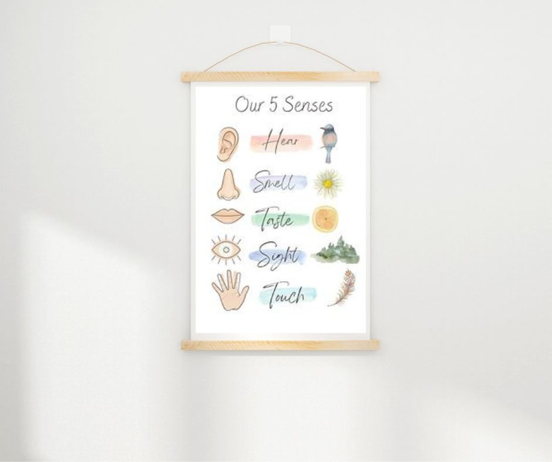 5 Senses Poster A4 - Etsy UK
