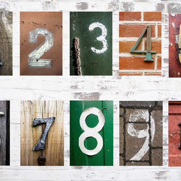 Reggio Emilia - Etsy