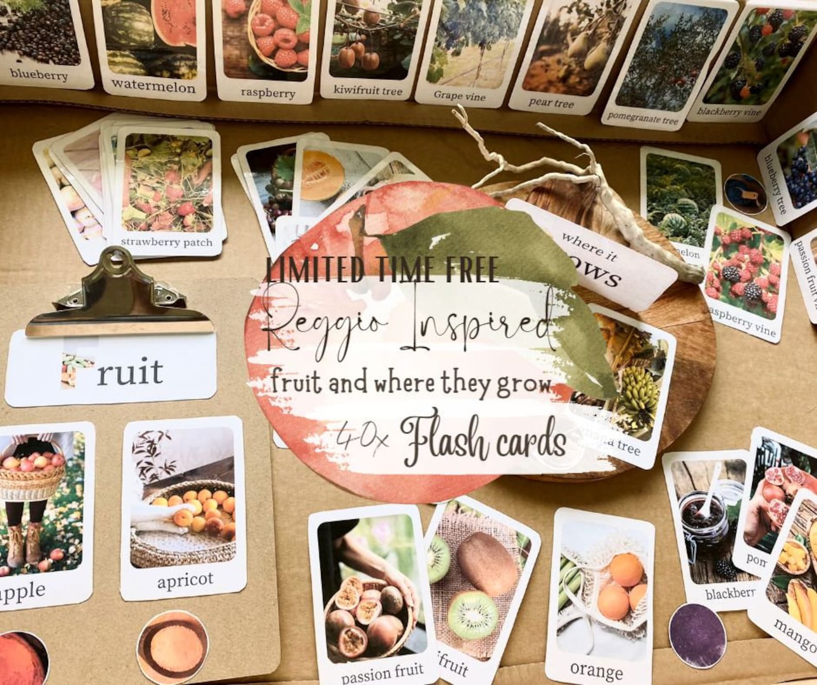 Reggio Inspired MEGA BUNDLE Nature Classroom / Homeschool Starter Pack ...