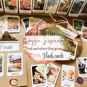 Reggio Inspired MEGA BUNDLE - Nature Classroom / Homeschool Starter ...