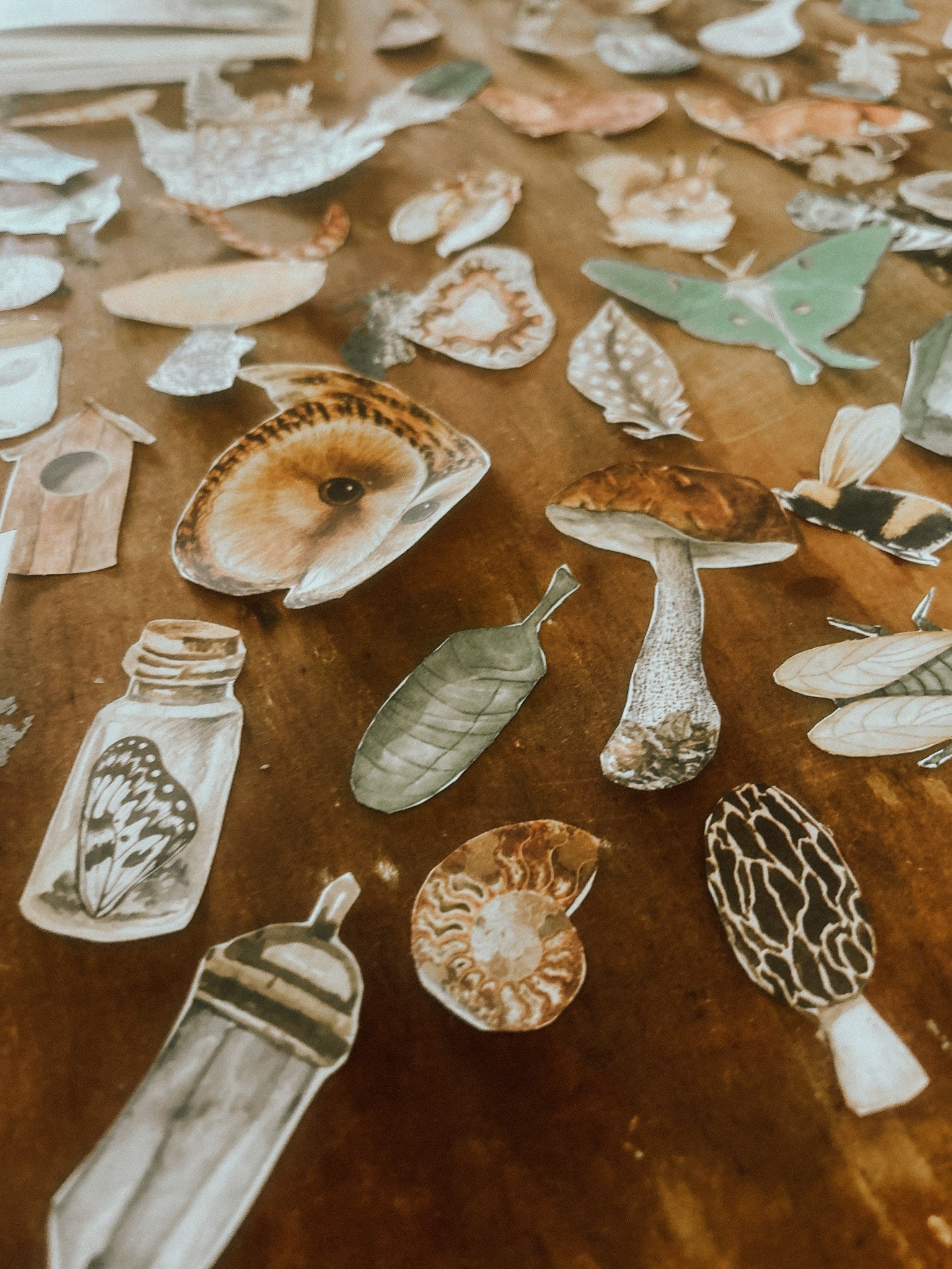 DIY Nature Stickers - 125 Pack - Etsy