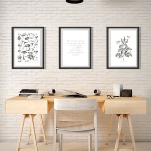 REGGIO INSPIRED Nature Classroom Posters- Vintage X3 WILDSCHOOL - Etsy