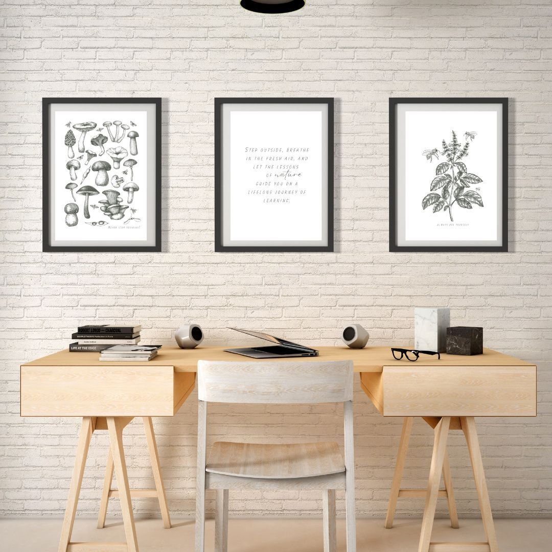 REGGIO INSPIRED Nature Classroom Posters Vintage X3 WILDSCHOOL - Etsy