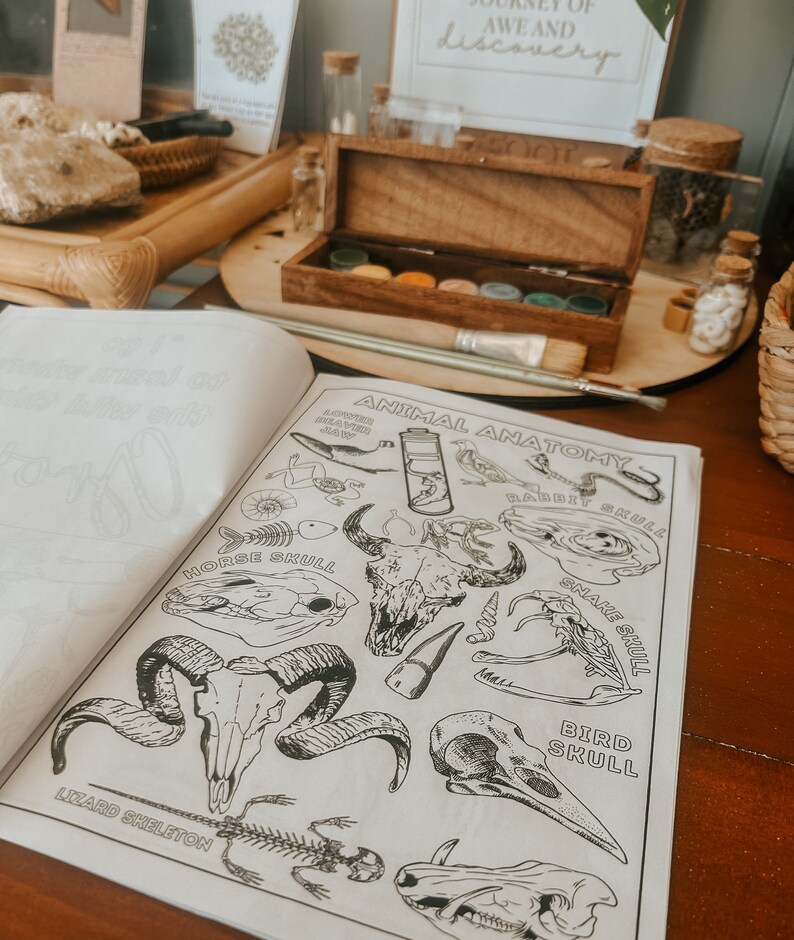 Step Into the WILD Kids Colouring Book 10 Pages Wildschool , Forest ...