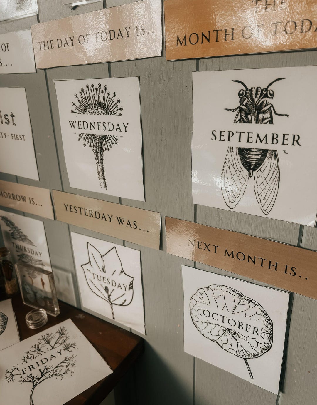 NATURE INSPIRED Educational Poster Pack Nature School Homeschool ...