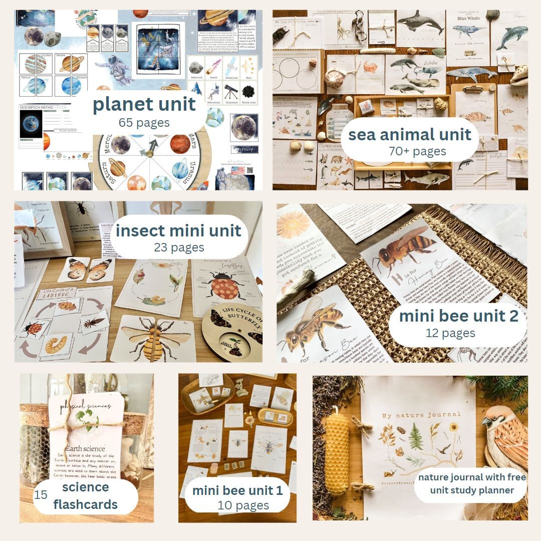 Nature Learning Unit BUNDLE , Wholesome Homeschool, Classroom Decor, - Etsy