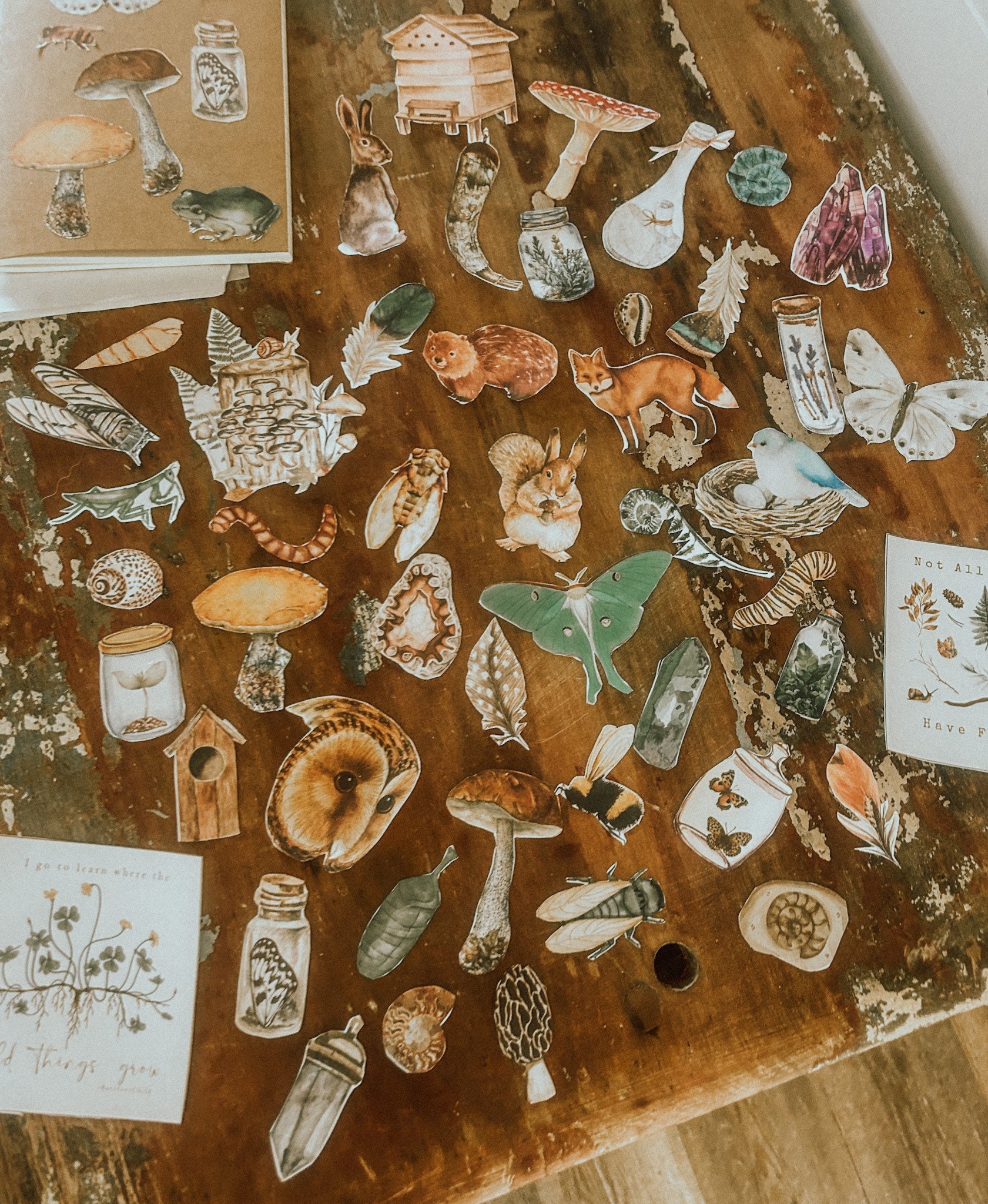 DIY Nature Stickers 125 Pack - Etsy