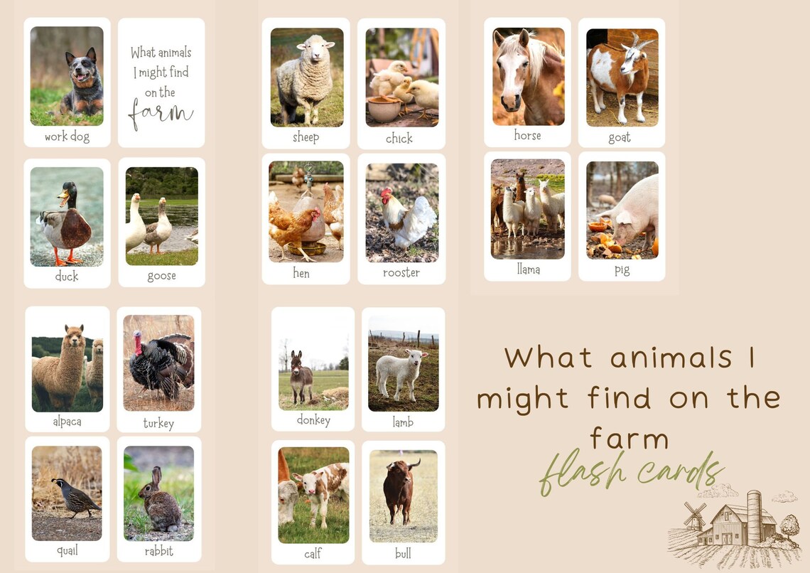 REGGIO Inspired FARM ANIMAL Vocabulary Flashcards Montessori - Etsy