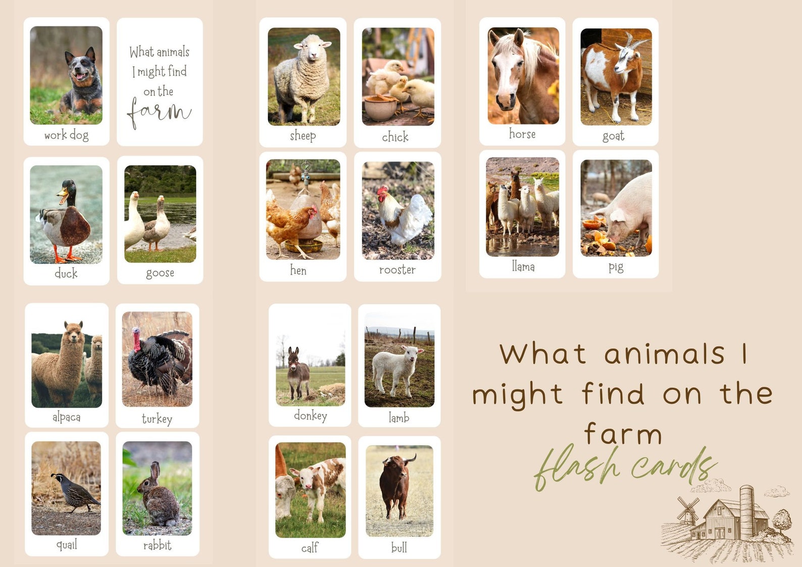 REGGIO Inspired FARM ANIMAL Vocabulary Flashcards Montessori - Etsy