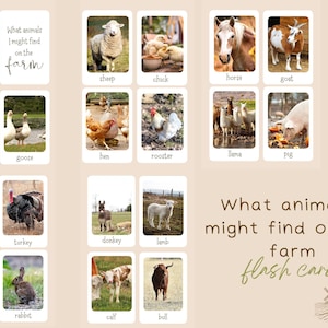 REGGIO Inspired FARM ANIMAL Vocabulary Flashcards- Montessori - Early ...