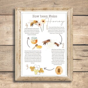 3 X BEE Posters | Homeschool |classroom |room Decor| - Etsy