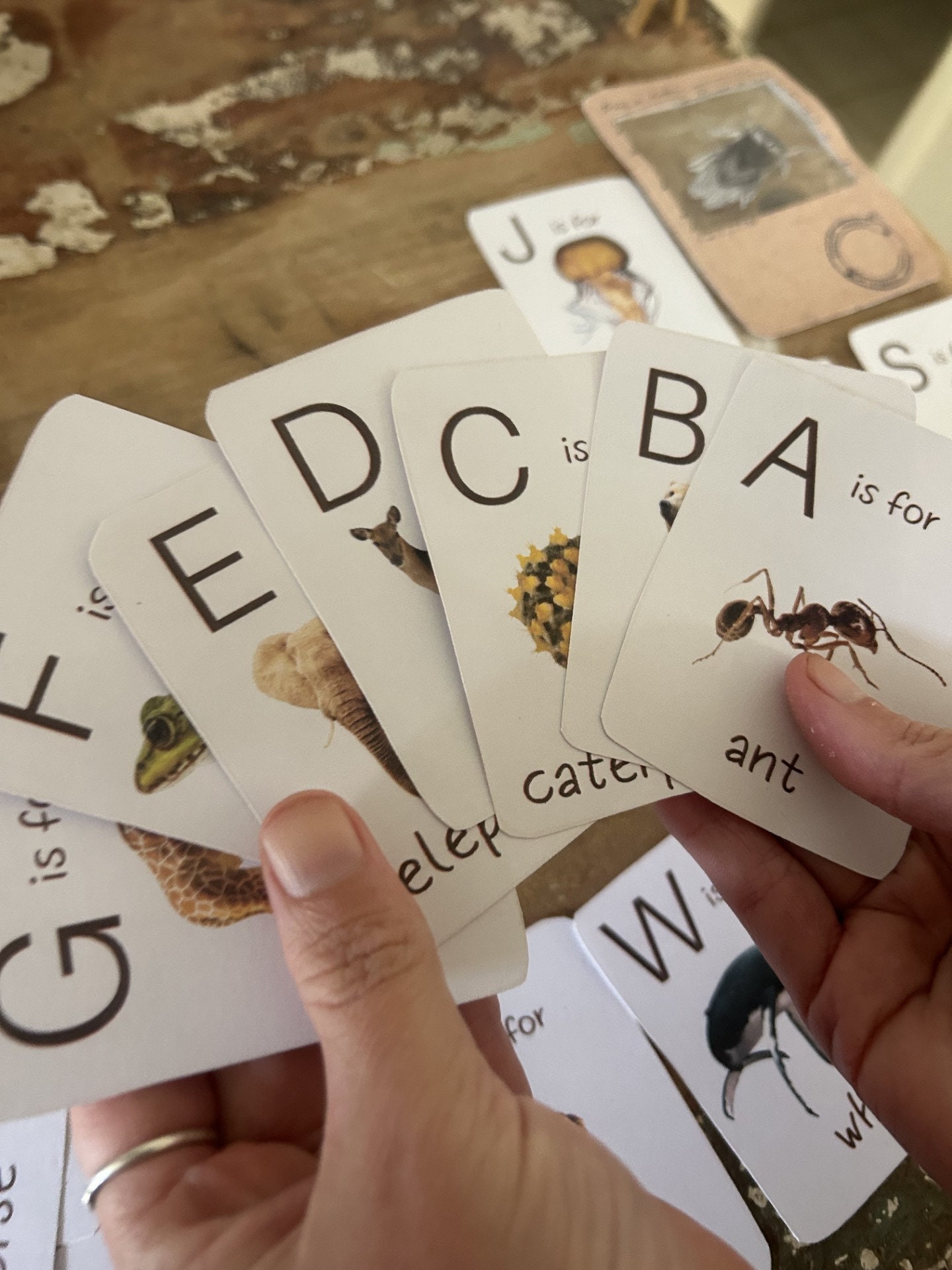 A-Z Animal Alphabet FLASHCARDS- Reggio Inspired- Wildschool - Etsy ...