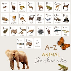A-Z Animal Alphabet FLASHCARDS- Reggio Inspired- Wildschool - Etsy