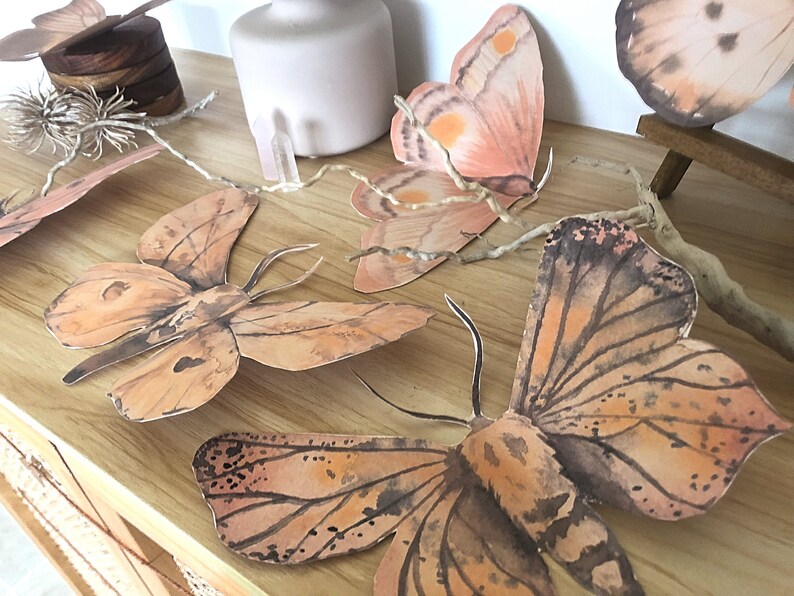 6x Jumbo Moth & Butterfly Props | Add Ons to Your Butterfly or Moth ...