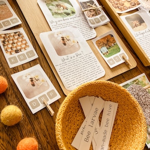 BEE STUDY - Morning Basket - Reggio Inspired - Montessori - Etsy
