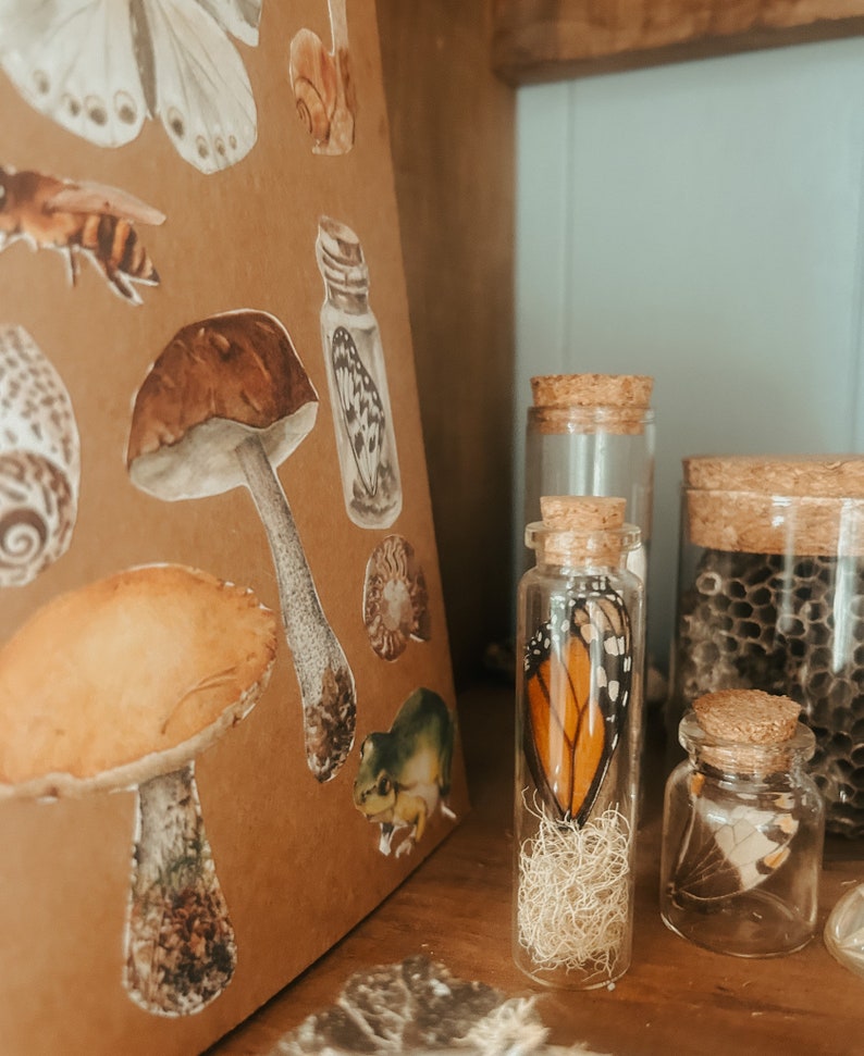 DIY Nature Stickers - 125 Pack - Etsy