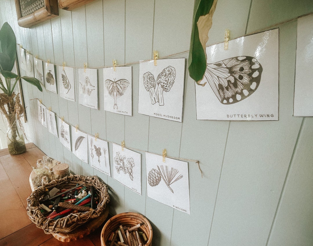 40x Nature Vocabulary Flashcards - Reggio Inspired - Nature Homeschool ...