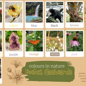 Colours in Nature | Morning Basket | Montessori | Nature School - Etsy