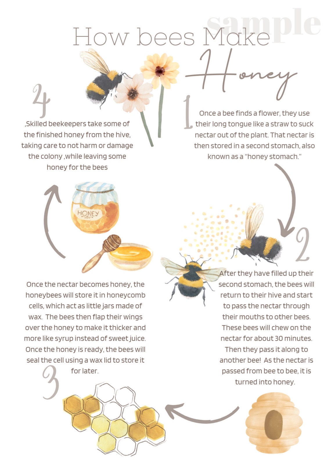 How Bees Make Honey BEE STUDY Printable - Etsy