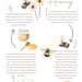 How Bees Make Honey BEE STUDY Printable - Etsy