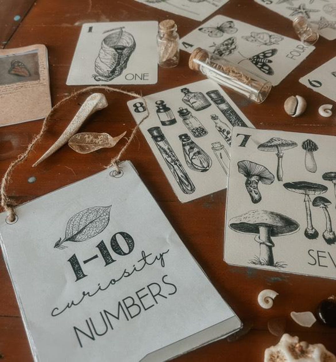 Wildschool CURIOSITY NUMBERS 1-10 Flashcard + Bunting , Holistic ...
