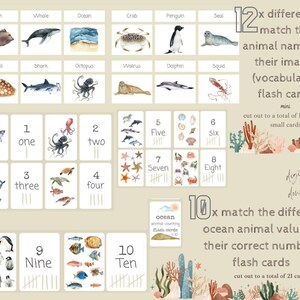 OCEAN Animal Morning Basket - Etsy