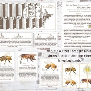 Mini Bee Study Flashcards - Etsy