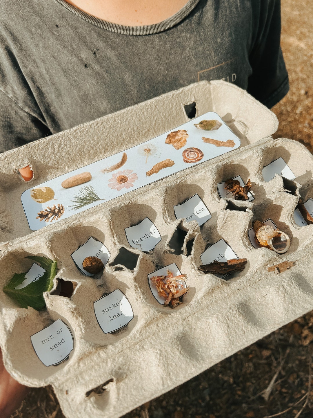 Nature Hunt Egg Carton -forest School , Bush School , Nature School - Etsy