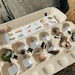 Reggio Inspired NATURE SHAPES Real Photographs Flashcardsposter - Etsy