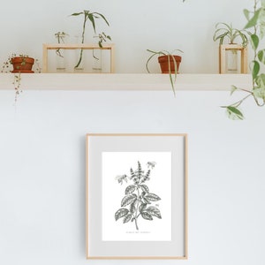 REGGIO INSPIRED Nature Classroom Posters- Vintage X3 WILDSCHOOL - Etsy