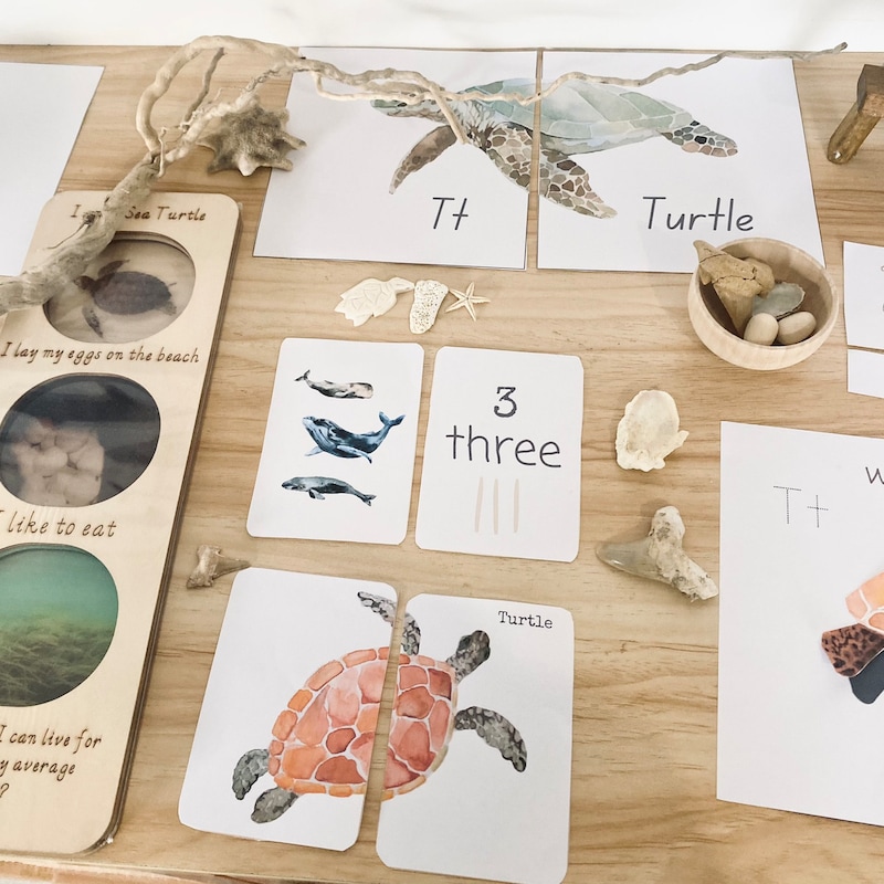 Turtle Themed Basket - Etsy UK