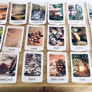 Reggio Emilia Inspired NATURE FLASH CARDS- Real Life ~ Nature Learning ...