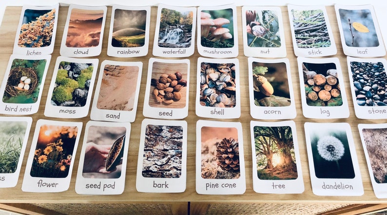 Reggio Emilia Inspired NATURE FLASH CARDS Real Life Nature - Etsy