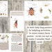 Mini Insect Unit - Nature Study - Etsy