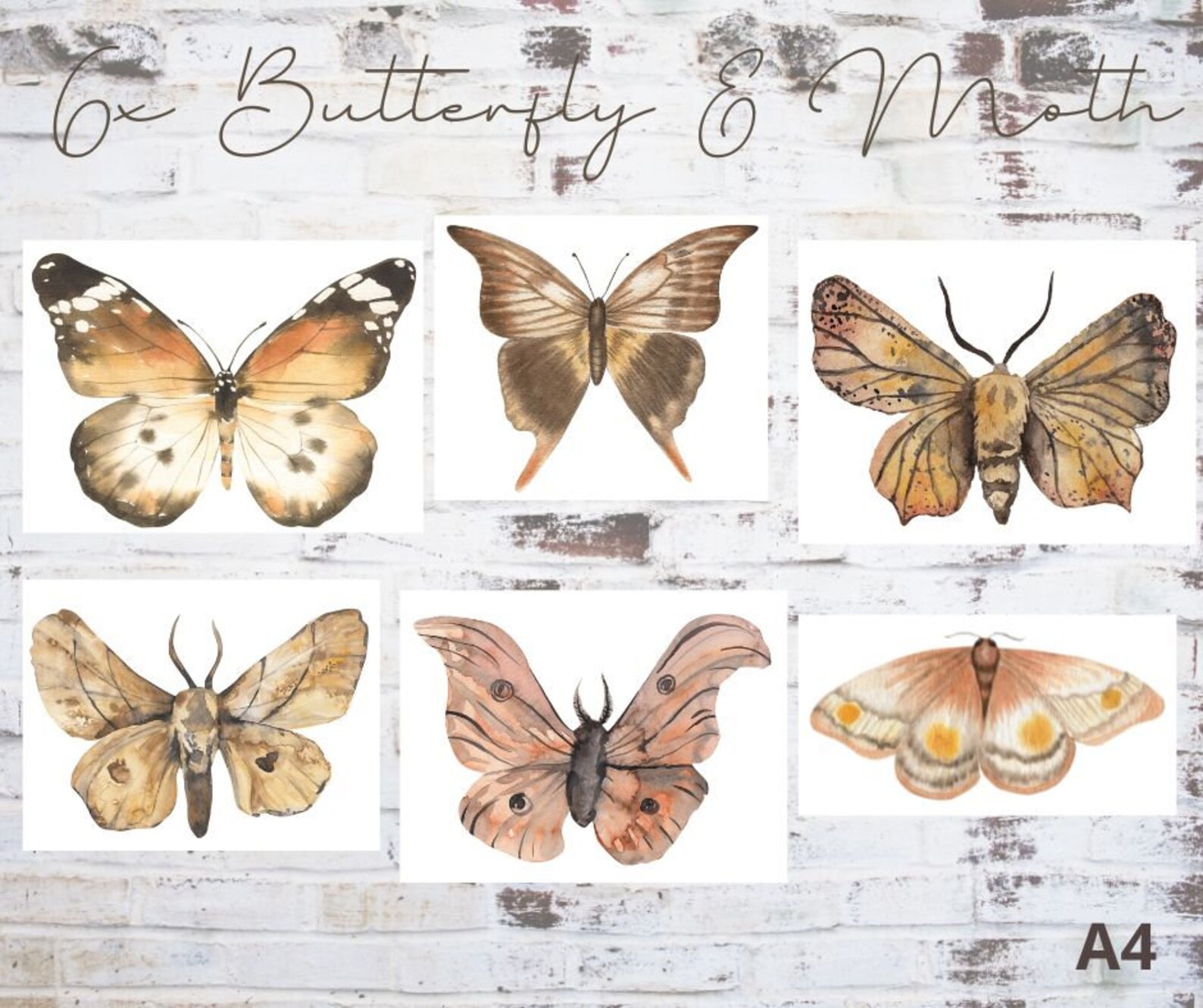 6x Jumbo Moth & Butterfly Props | Add Ons to Your Butterfly or Moth ...