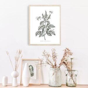 REGGIO INSPIRED Nature Classroom Posters- Vintage X3 WILDSCHOOL - Etsy