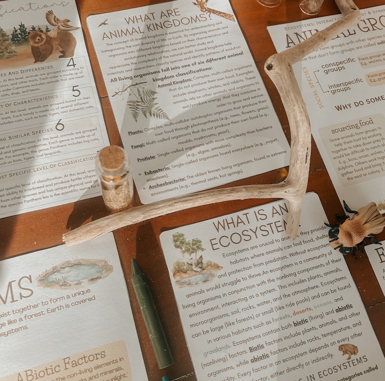 Animal Classification Mini Study Unit - Etsy