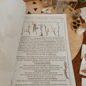 SPRING Study and Journal Pack- 50 Pages- Nature Inspired - Etsy