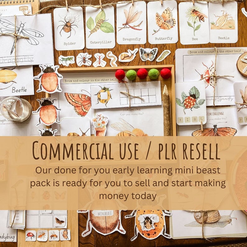 Commercial Use , Kids Early Learning Insect Pack , Resale Plr - Etsy