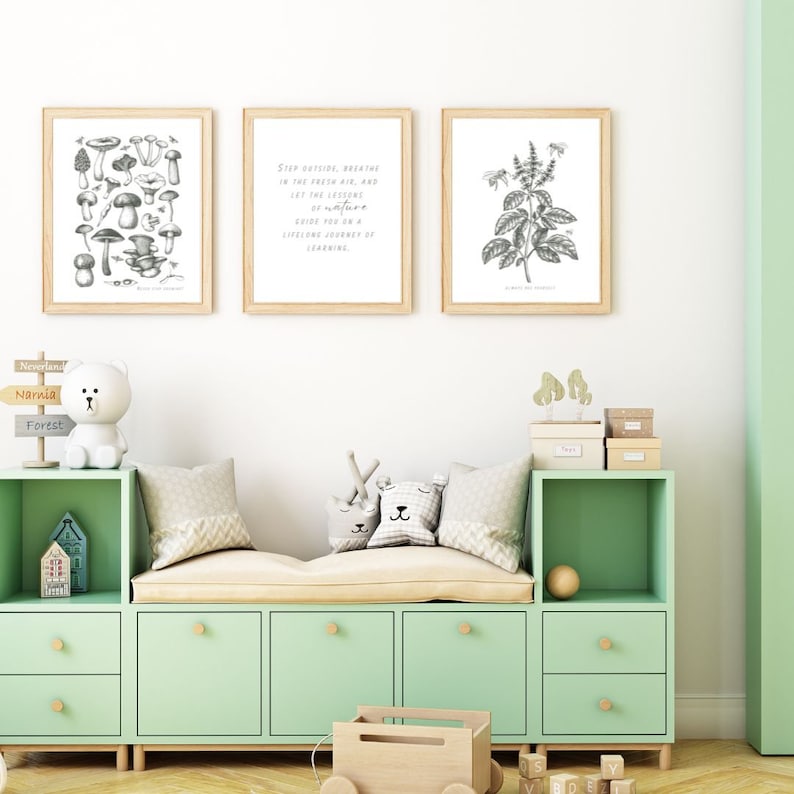 REGGIO INSPIRED Nature Classroom Posters- Vintage X3 WILDSCHOOL - Etsy