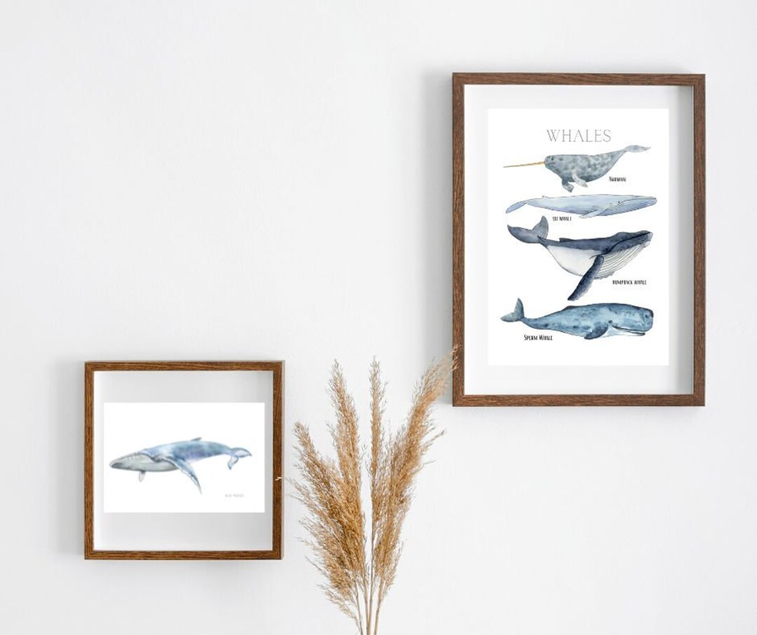 3 X Natural Whale CLASSROOM DECOR| Beachy Wall Art | - Etsy